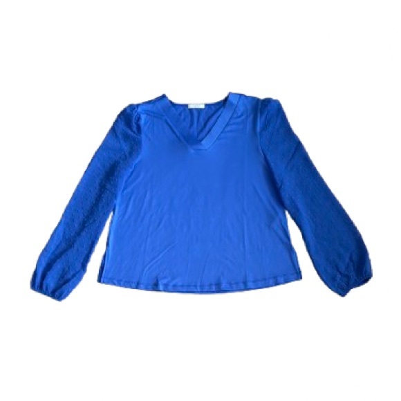 Tops | Studio 1886 V Neck Puff Shoulder Swiss Dot Long Sleeve Blouse ...